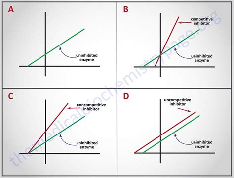 Lineweaver Burk Plots Of Inhibited Enzymes