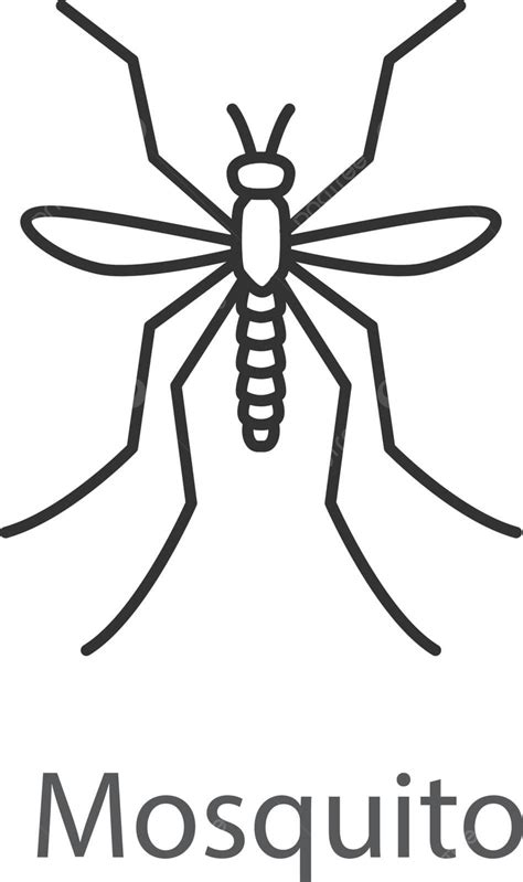 Mosquito Linear Icon Bug Nature Specie Vector Bug Nature Specie Png