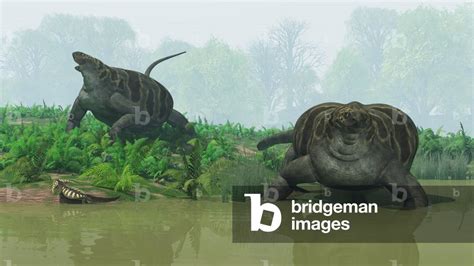 Image Of Cotylorhynchus Cotylorhynchus Was A Large Mammalian Reptile
