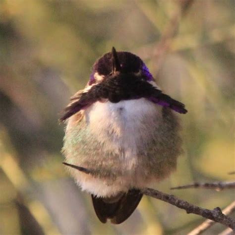 Debb Johnson Youtube