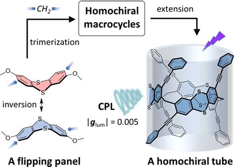 Cyclization Of An Achiral Flipping Panel To Homochiral Tubes Exhibiting Circularly Polarized