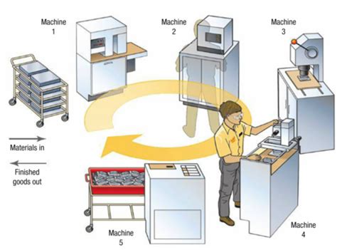 Lscm Exam 1 Review Flashcards Quizlet
