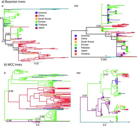 Phylogenetic Trees For Lp Rdrp And Vp3 Fragments A Bayesian Trees