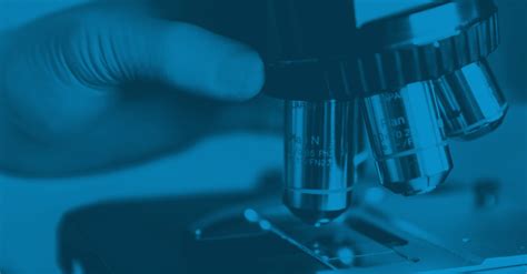 Injectable Particulate Matter Microscopic Particle Count Test