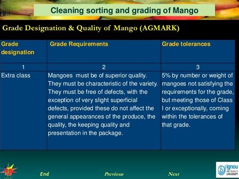 Cleaning Sorting And Grading Of Mango 1