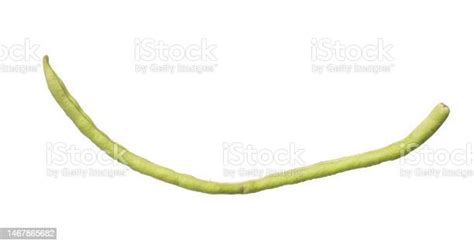 긴 마당 콩 파리 폭발 음식 요리를위한 단일 라인 녹색 긴 콩이 공중에 떠 있습니다 원시 긴 마당 콩은 식품 재료로 공중에 던져