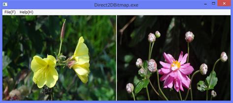 Direct DBitmap