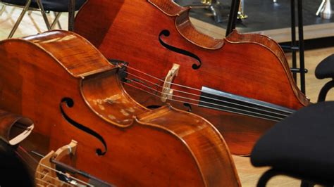 13 Different Types Of Cellos W Pictures