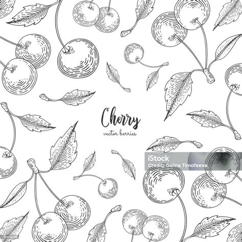 딸기 손 벡터 일러스트 레이 션 프레임입니다 체리와 자세한 프레임입니다 건강과 아름다움 자연 제품의 패키지 디자인 체리에 대한