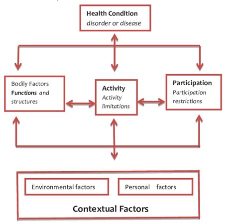 1 The Icf Cy Model Including Constructs Capturing Functioning And