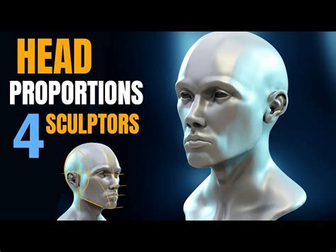 Free Video Head Proportions For Sculpting Detailed Follow Along