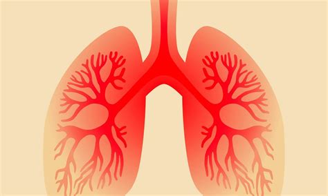 Extra Fine Single Inhaler Triple Therapy Useful For Severe Asthma With Small Airways Dysfunction