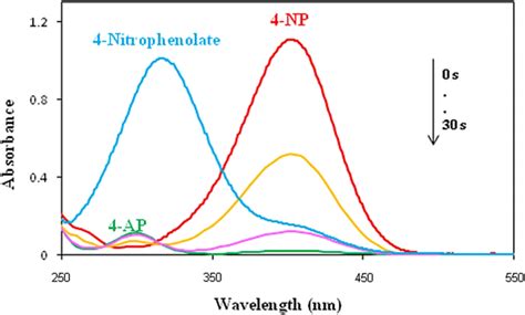 The Uvvis Spectra Of The 4 Np Solution In The Presence Of The Nabh4