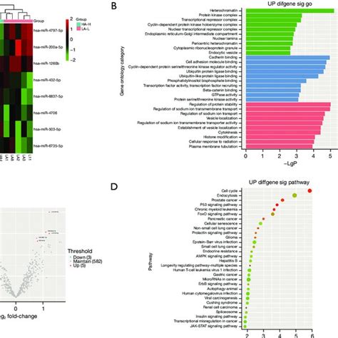 Different Pde Exosomal Mirna Profiles A Heatmap Describing