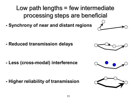 A Tutorial In Connectome Analysis 2 Marcus Kaiser Ppt