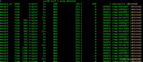 linux磁盘已满，查看哪个文件占用多 linux 磁盘空间满 如何查看是什么路径占用 csdn博客
