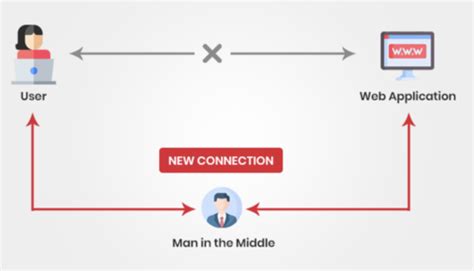 Network Connectivity Flashcards Quizlet