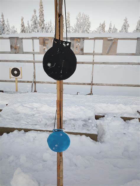 Arctic Rifle : r/ar15