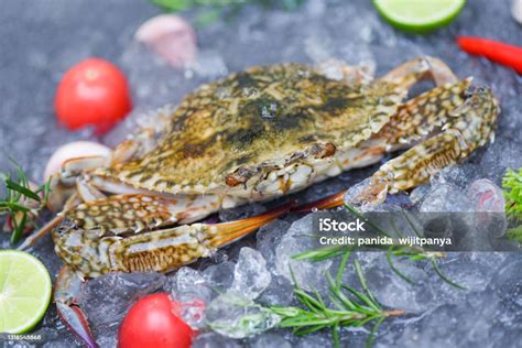 신선한 생 블루 수영 게 바다 미식가 허브 향신료 레몬과 로즈마리 레스토랑에서 음식을 요리하기위한 얼음에 해산물 게 갈고리 발톱에 대한 스톡 사진 및 기타 이미지 Istock