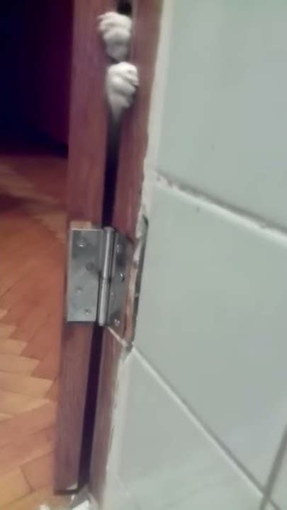 Фреди Крюгер Youtube