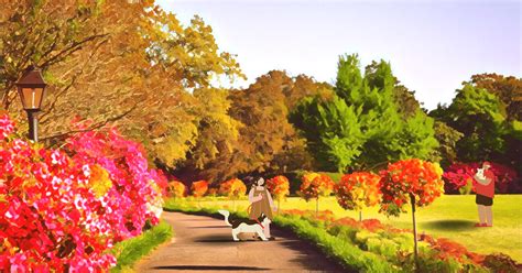 フォトギャラリーへ共有する画像の紹介11（画像素材の使用例とオススメの写真紹介）｜megu＠家庭菜園と刺しゅう好き｜note