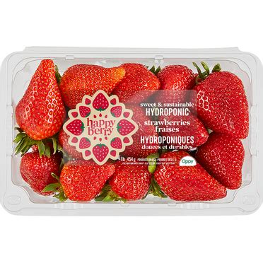 Fresh Strawberries 2 Lb Container