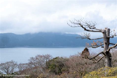 The Hakone Loop Made Easy