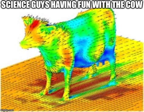 The Aerodynamic Of A Cow Imgflip
