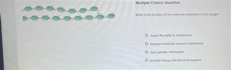 solved multiple cholce questlonwhat is the function of the