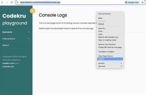 how to capture console logs in selenium python codekru