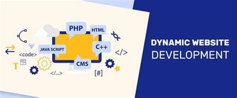 dynamic website development at rs 14000 pack डायनामिक वेबसाइट