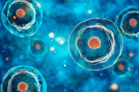 Exploring The Intricate Beauty Of Cellular Structures Under A