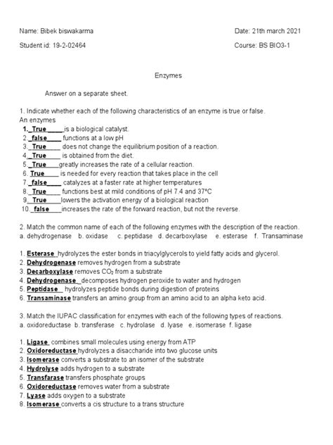 enzymes assignment pdf hydrolysis enzyme