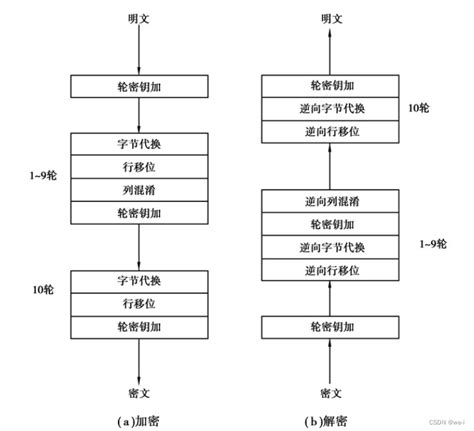 （day3）数据加密原理和方法及常见算法数据分布 加密运算 Csdn博客