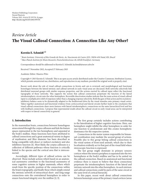 Pdf The Visual Callosal Connection A Connection Like Any Other
