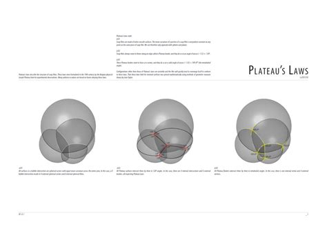 Plateaus Laws Soap Bubbles And Grasshopper Soap Bubbles Bubbles Hyperbolic Paraboloid