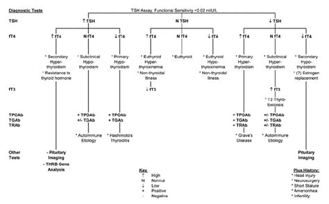 Thyroid Chart Amulette