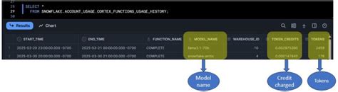 Snowflake Cortex LLM Features Cost Use Cases