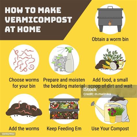 Infographic Of Vermicomposting How To Make Vermicompost At Home Worm