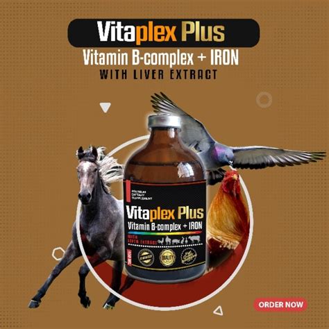 Vitaplex Plus 20ml Injectable Vitamin Bcomplex Iron Shopee