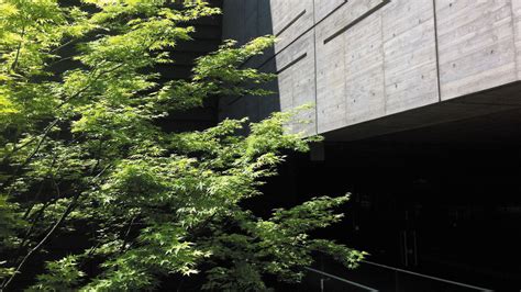 Home | Treelogic Pty Ltd | Tree Services Melbourne | Tree Consultants