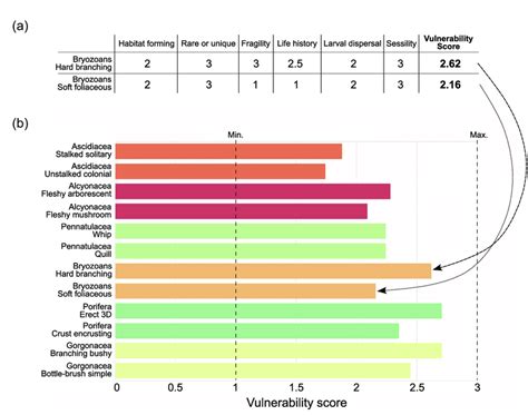 Examples Of Vulnerability Scores Of Vme Indicator Morpho Taxa Top Download Scientific Diagram