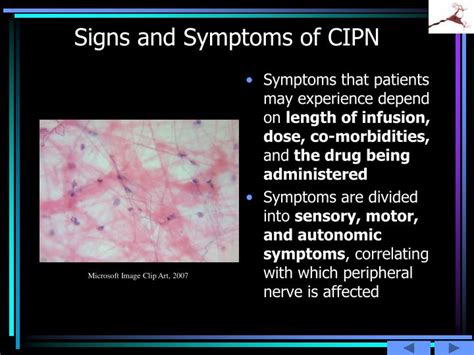 Ppt Chemotherapy Induced Peripheral Neuropathy Cipn Why The
