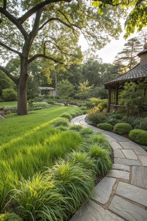 20 Creative Monkey Grass Ideas For Your Garden