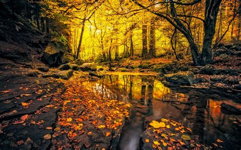 Creek Wallpapers Top Free Creek Backgrounds Wallpaperaccess