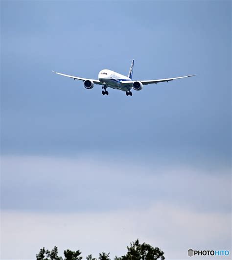 「はれー」ana 787 9 Ja886a 到着 By X191300cc 2 （id：10056184） 写真共有サイト Photohito