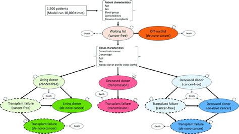 structure of the markov model used to simulate individual patients
