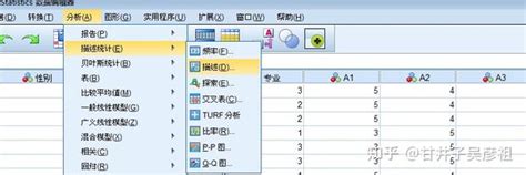 SPSS问卷数据怎么搞一描述性统计三分钟出结果版 知乎