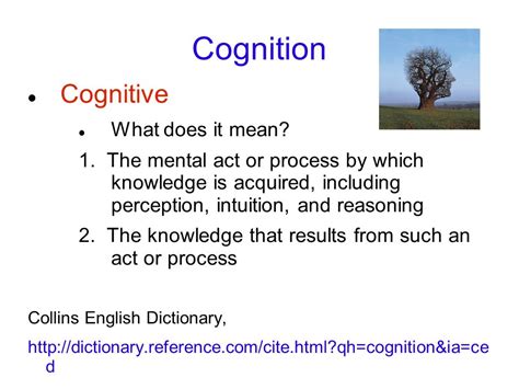Cscd 487587 Human Computer Interface Winter 2013 Lecture 4 Human Cognition Ppt Download