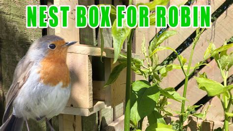 Plans For A Robin Nest Box At Paul Gorman Blog